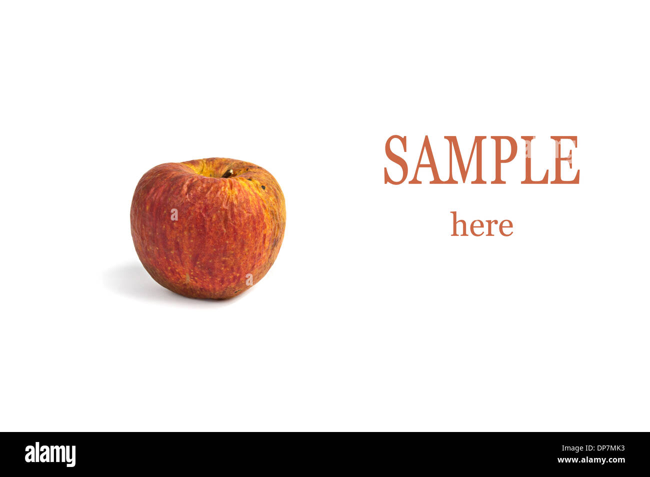 Old apple that is beginning to rot on white background. With easy ...