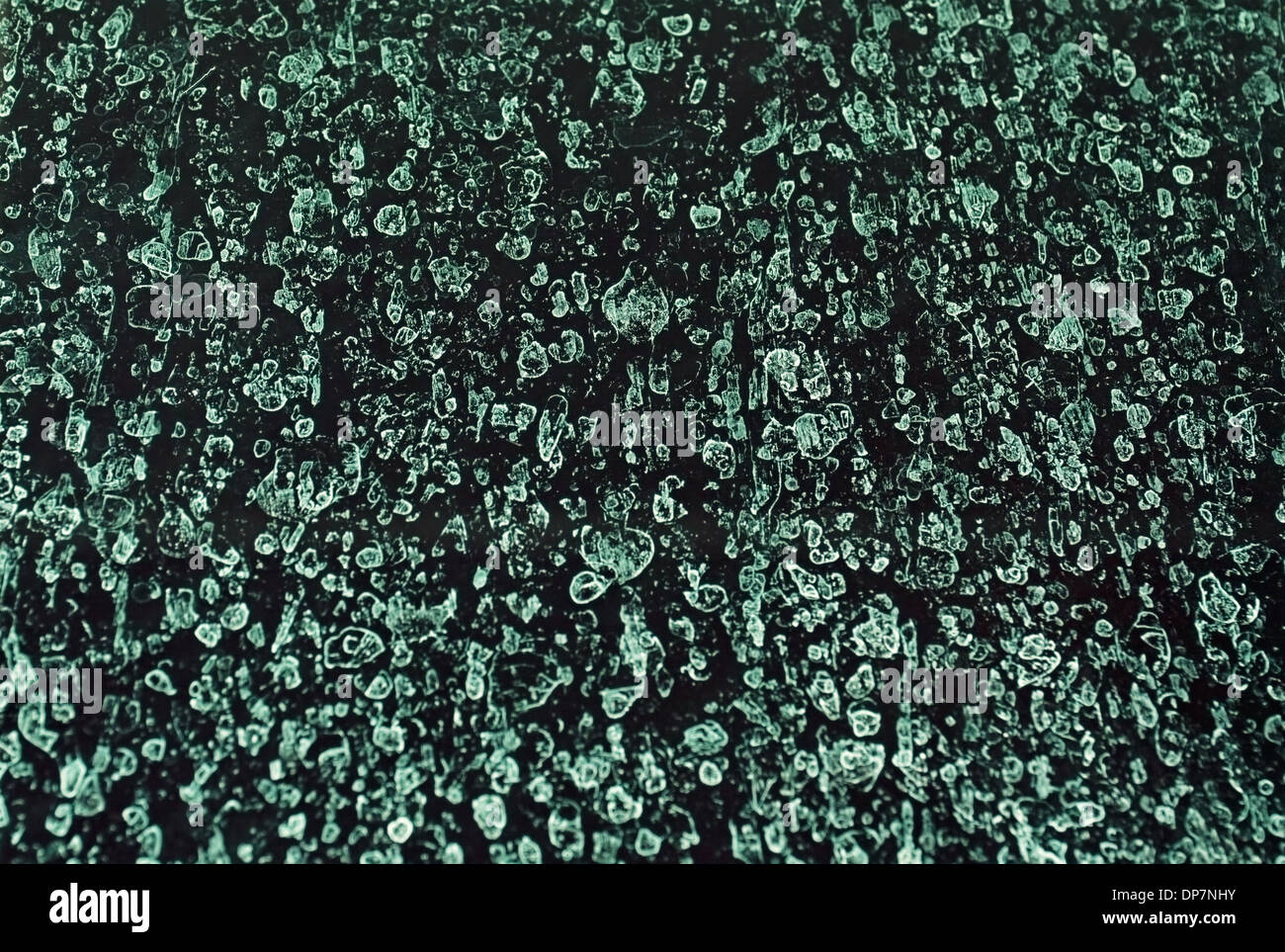 Microscopic view bacteria hi-res stock photography and images - Alamy