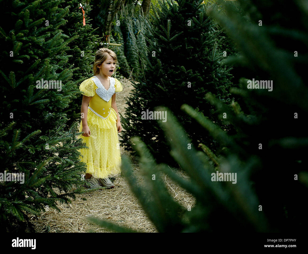 Family buys christmas tree hi-res stock photography and images - Alamy