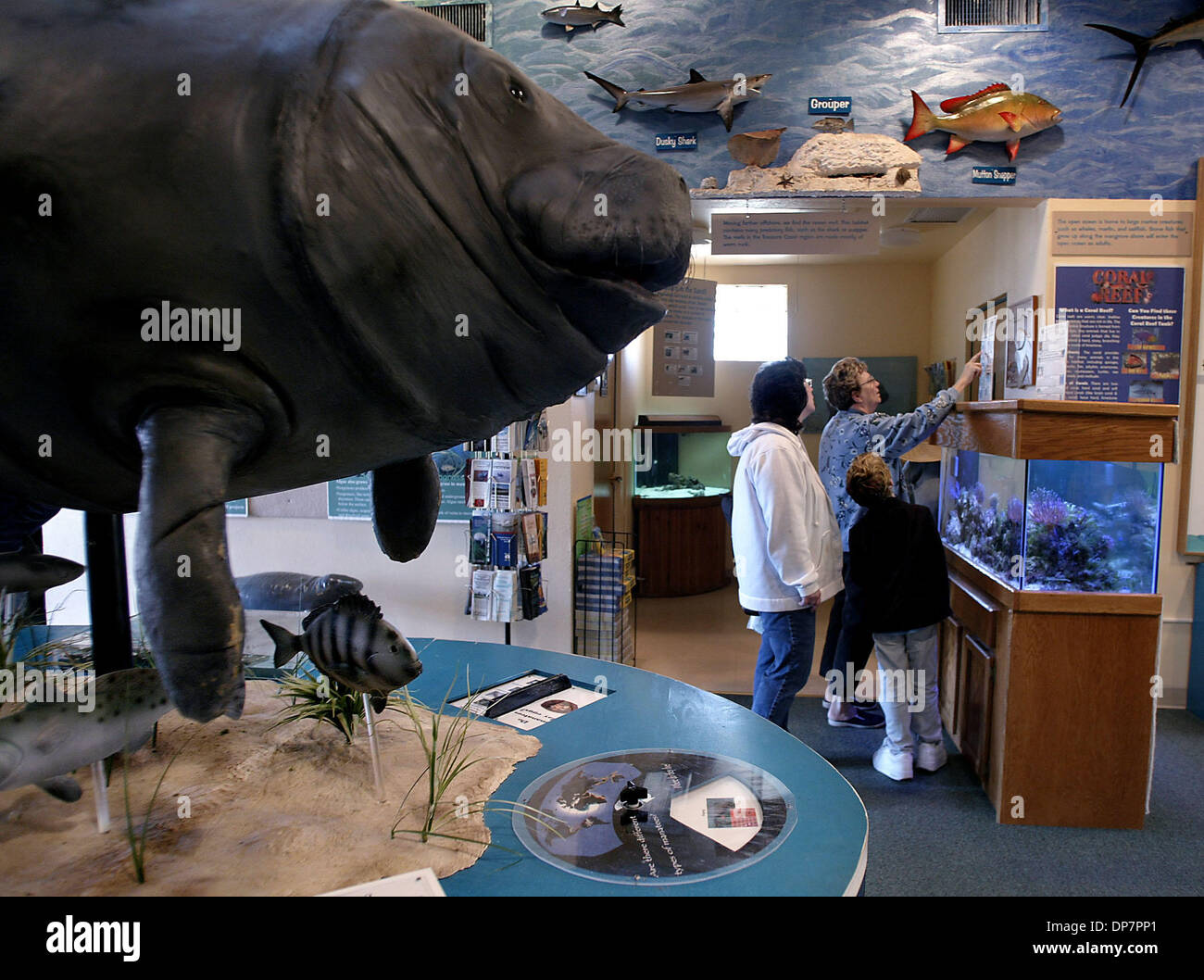 Manatee observation and education center hi-res stock photography and ...
