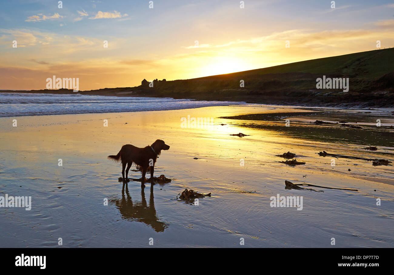 Howes strand hi-res stock photography and images - Alamy