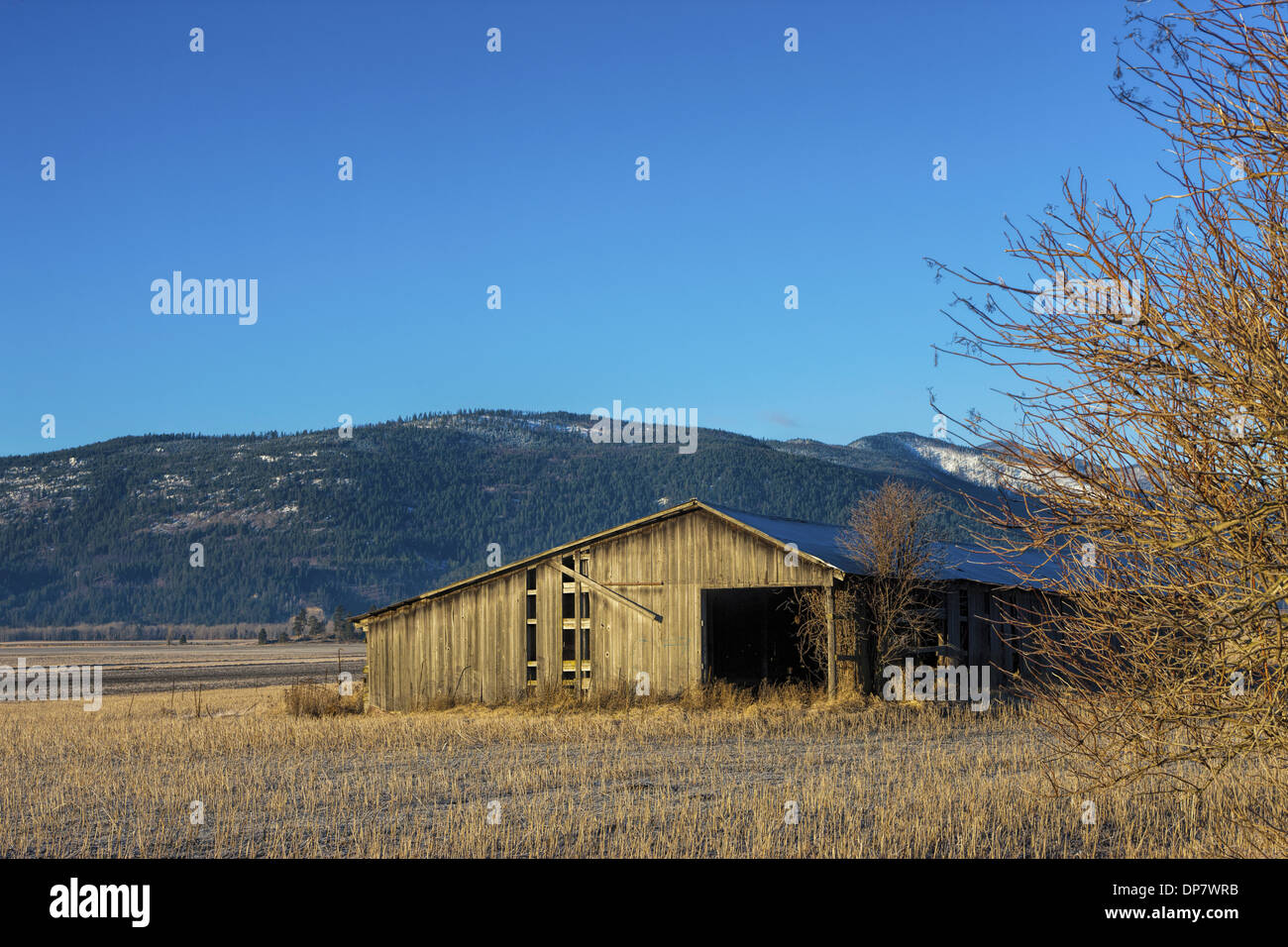 An old barn in a farm field near Bonners Ferry, Idaho Stock Photo - Alamy