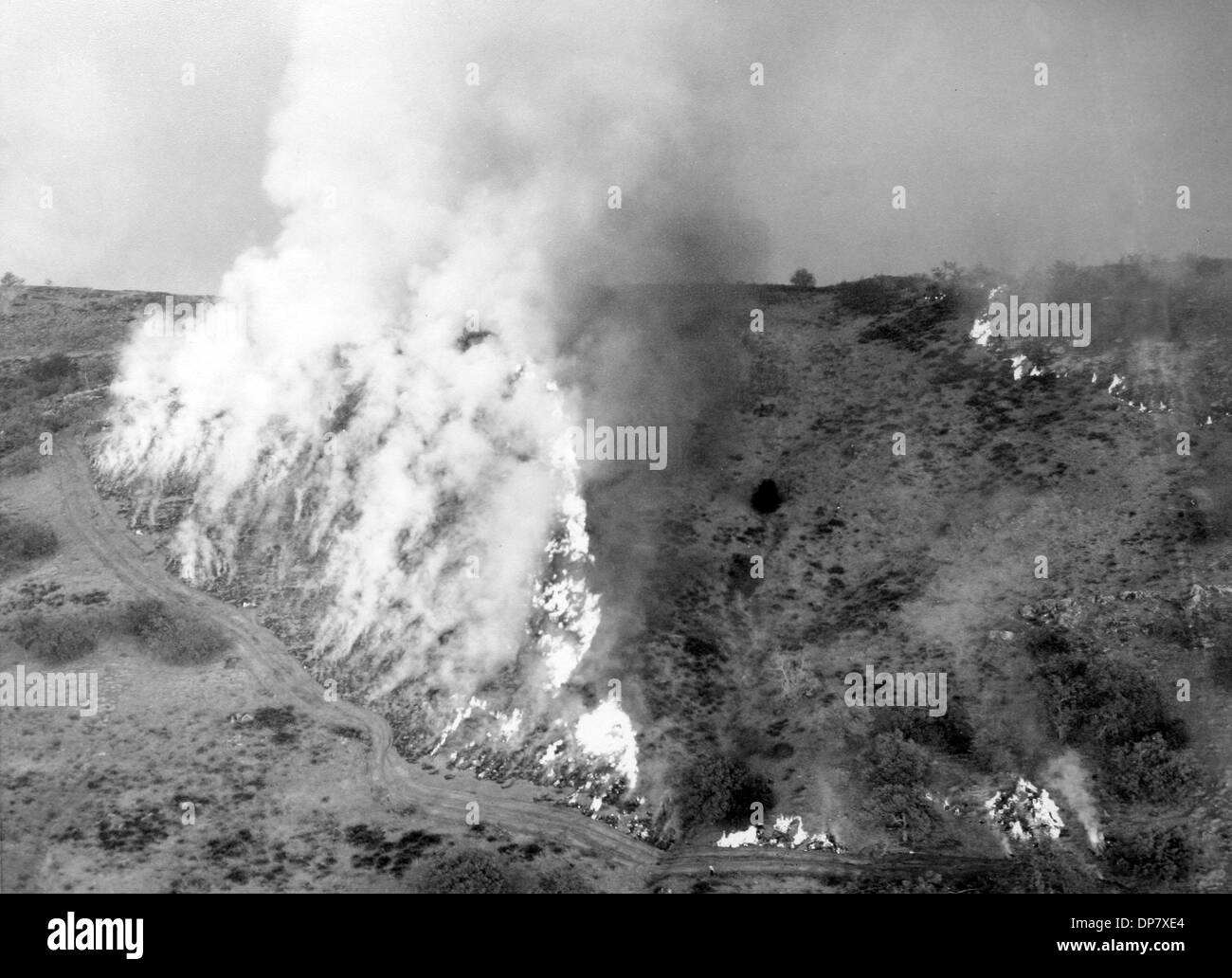 Nov 22, 2006; San Diego , California, USA; Copy of a U.S. Forest ...