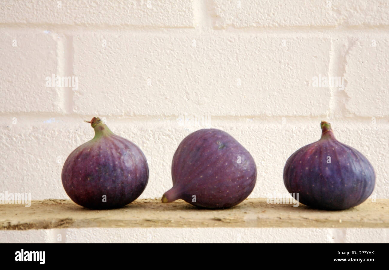 A row of three ripe figs on a wooden shelf Stock Photo - Alamy