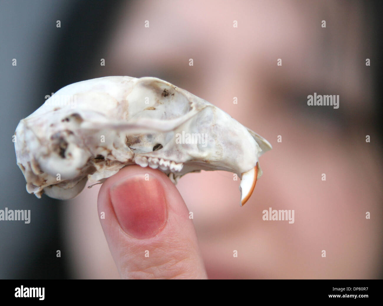 Mutant People Of Chernobyl