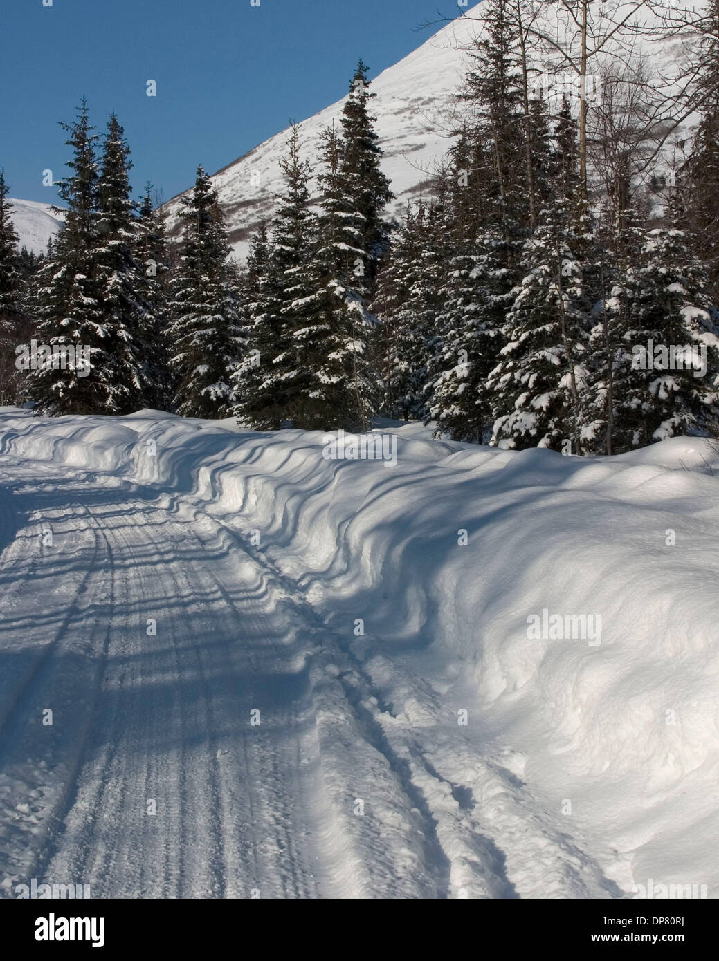 Feb 22, 2006 - Summit Pass, AK, USA - Summit lake pass tenderfoot along ...