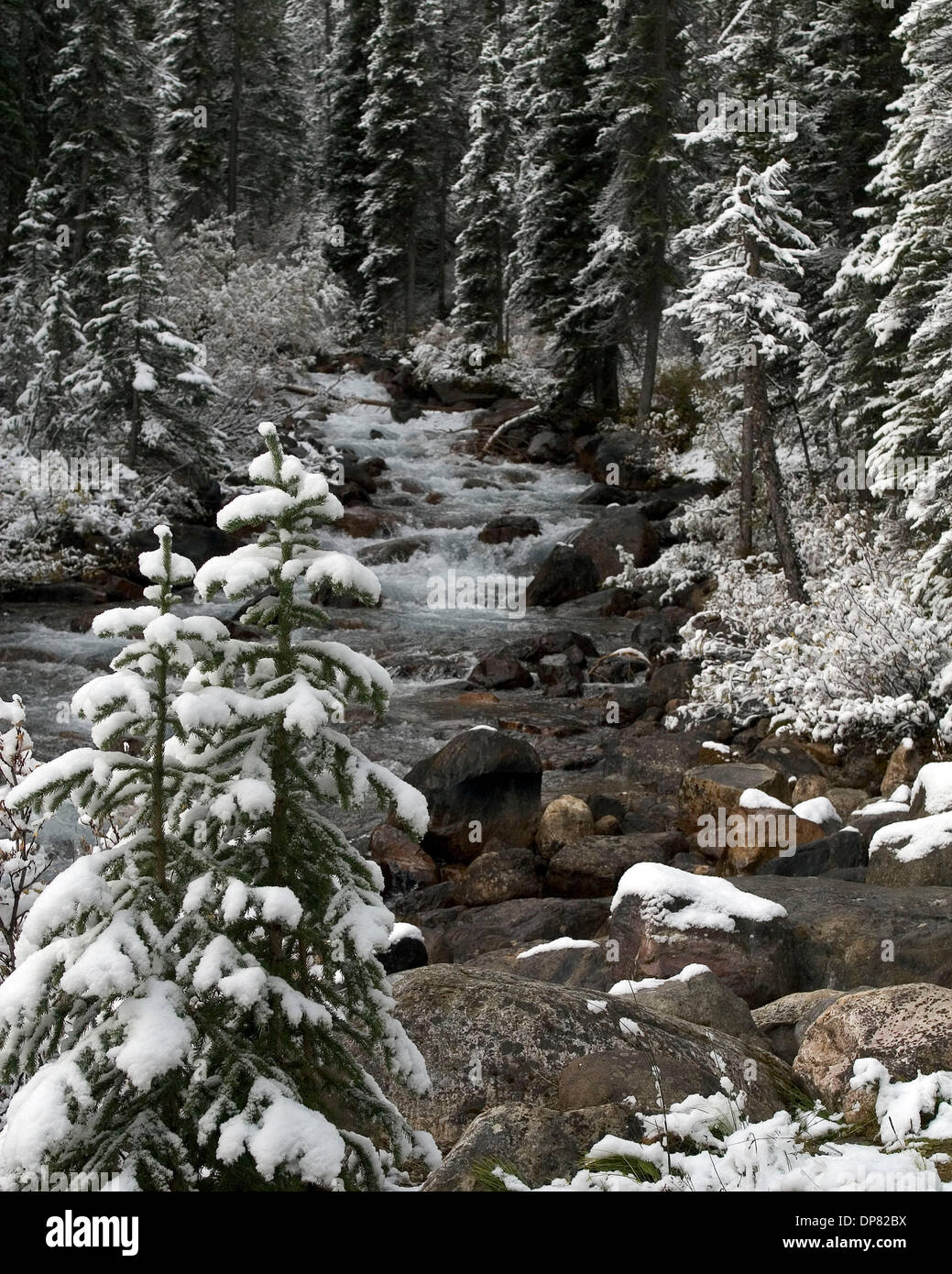 Sep 16, 2006 - Banif, AK, USA - Stream running down a hill surrounded ...