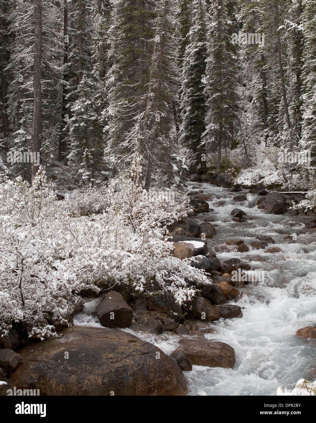 Running down a hill hi-res stock photography and images - Alamy
