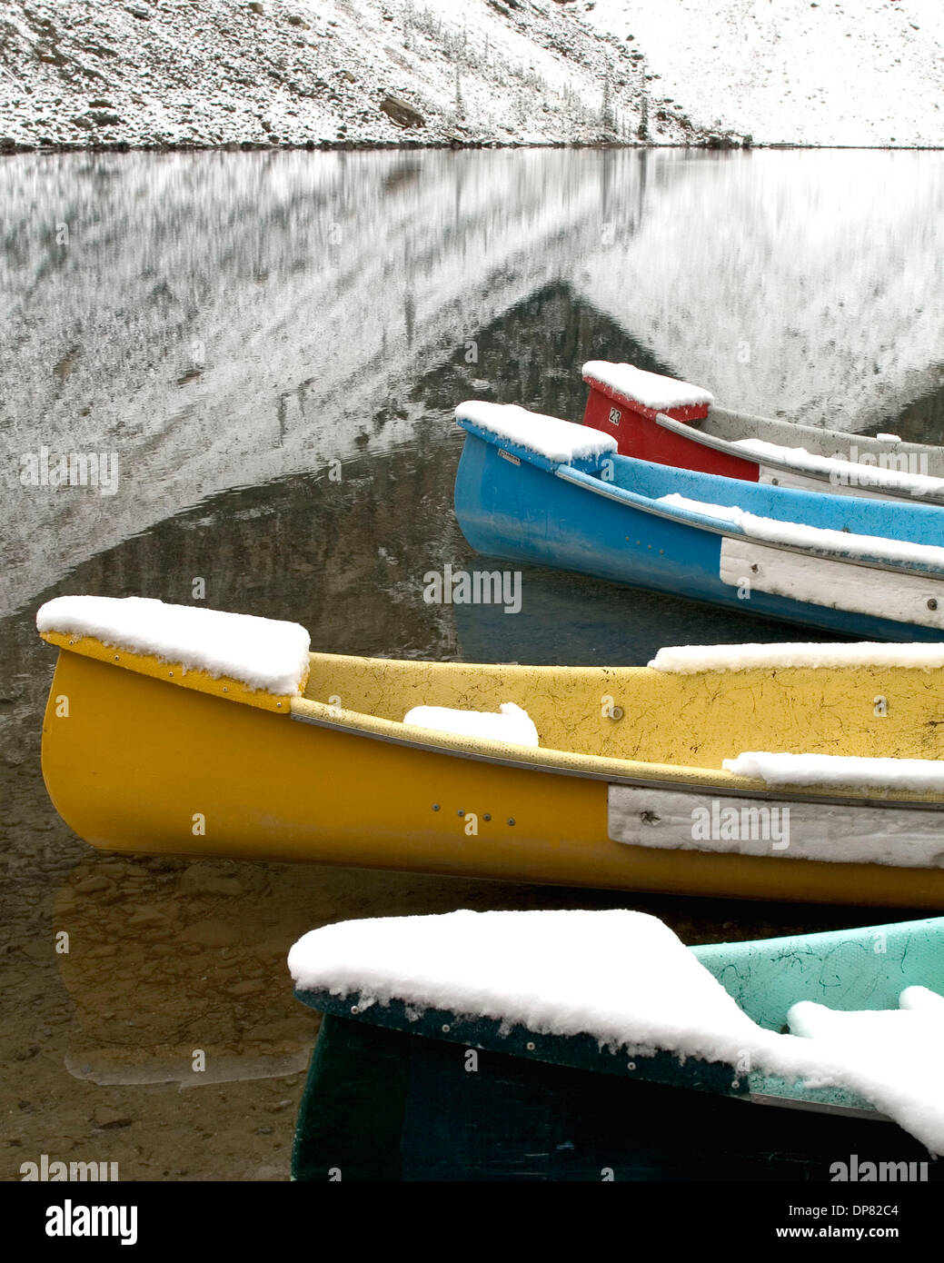 Sep 16, 2006 - Banif, AK, USA - Snow covered clolorful canoes, early ...