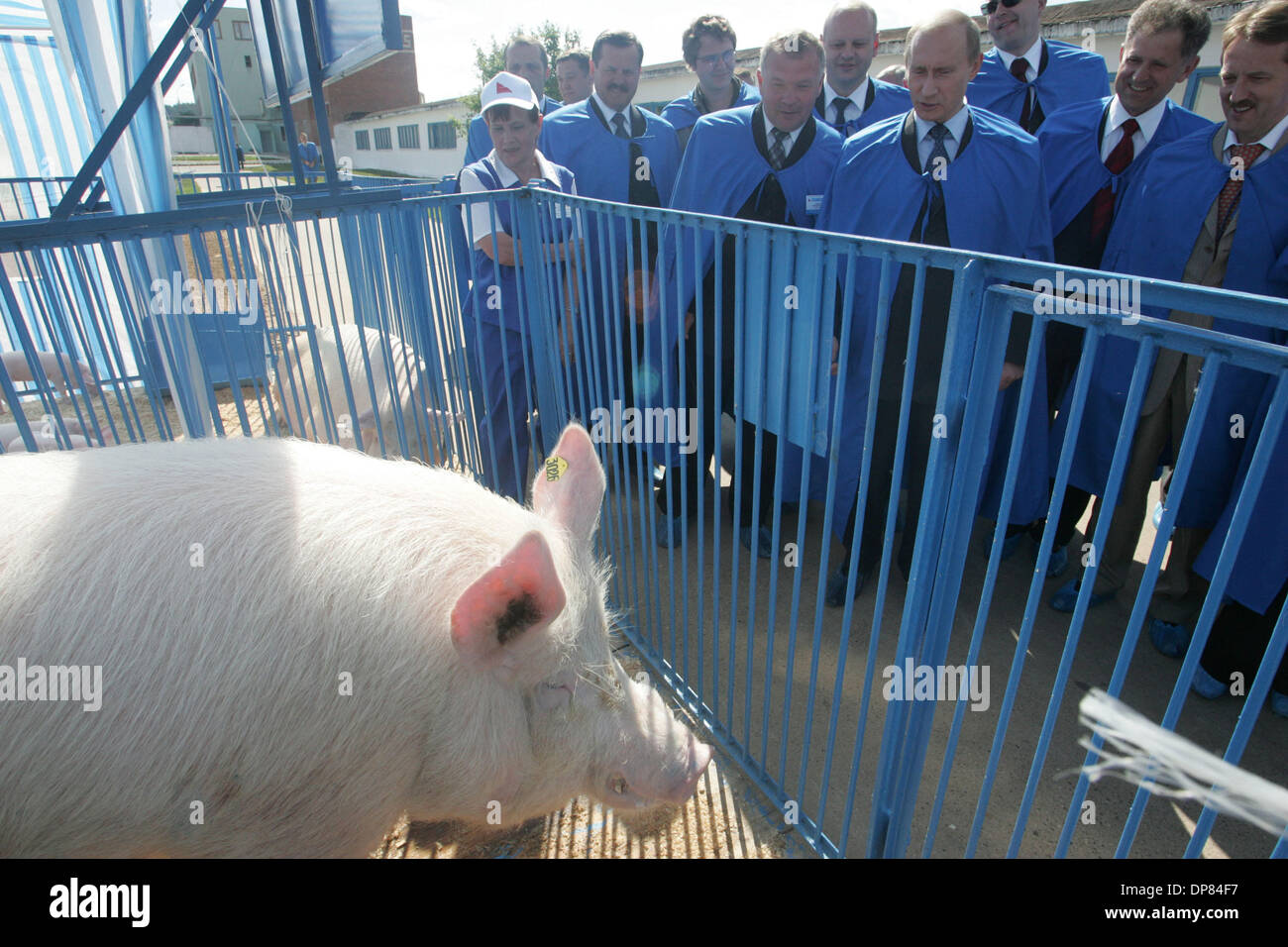Russian president Putin visited pig-breeding farm near city of Izhevsk ...
