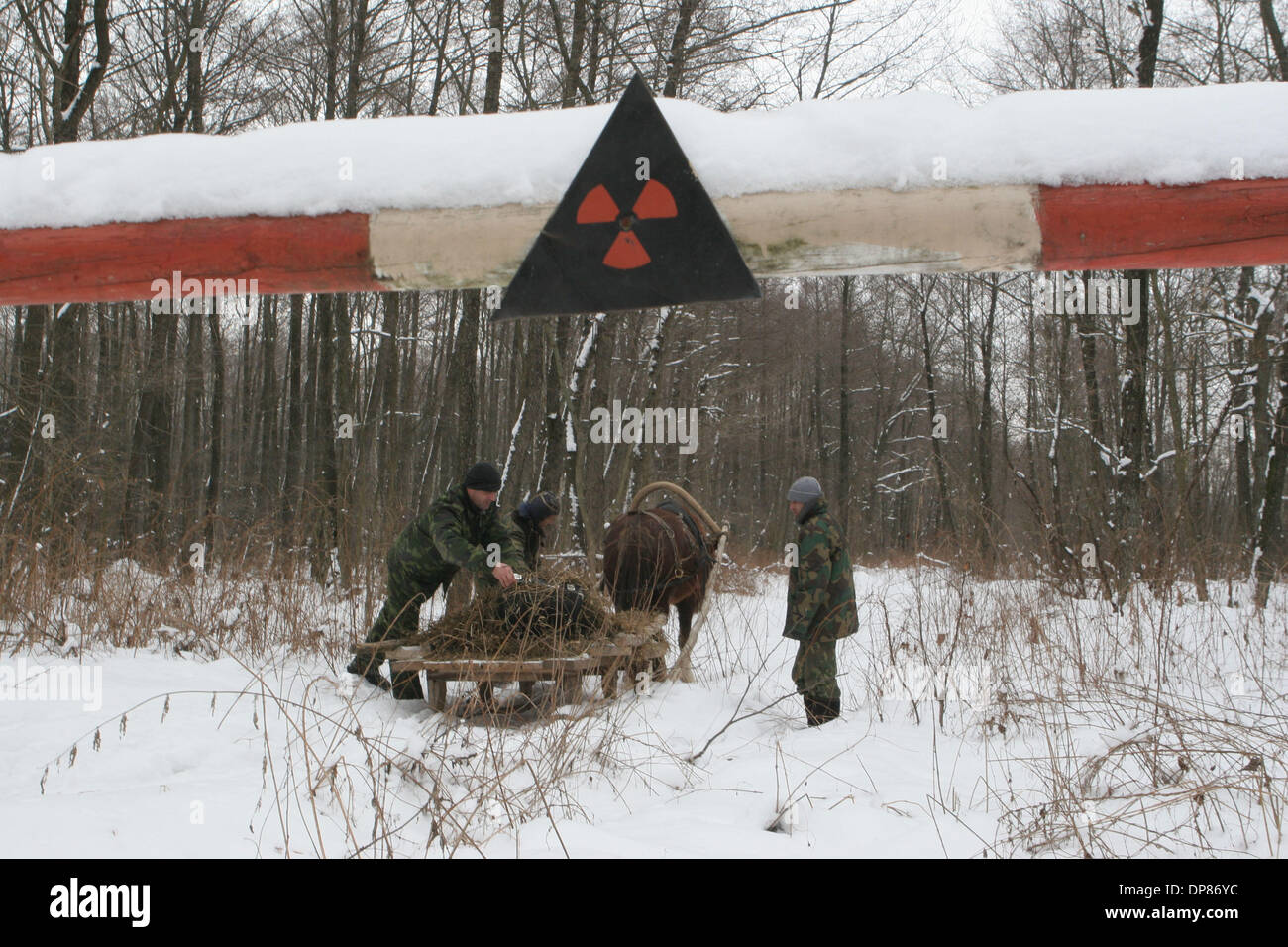 Chernobyl animals hi-res stock photography and images - Alamy