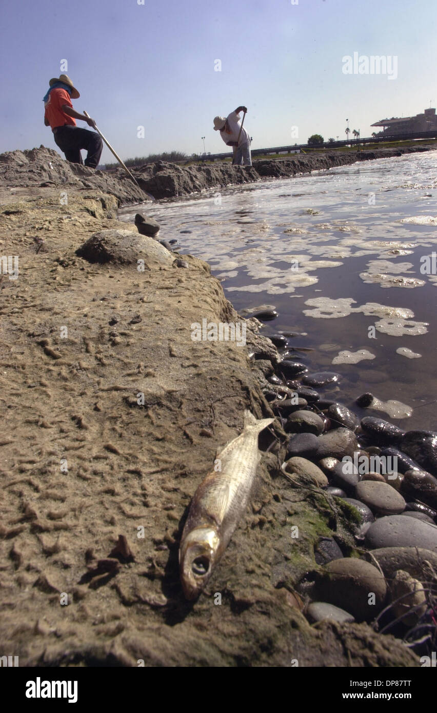Have dug trenches hi-res stock photography and images - Alamy