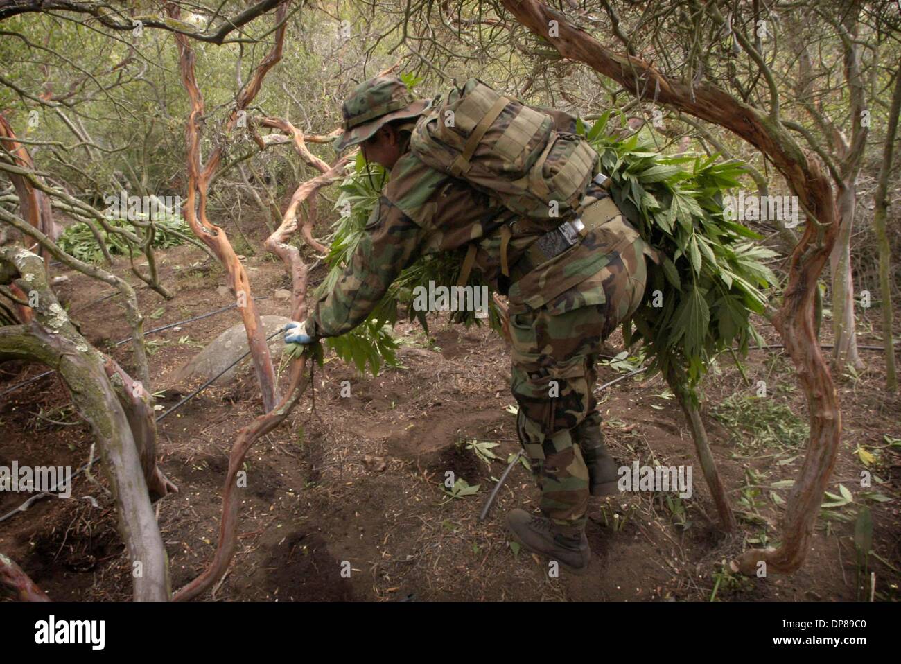 Narcotics task force hi-res stock photography and images - Alamy