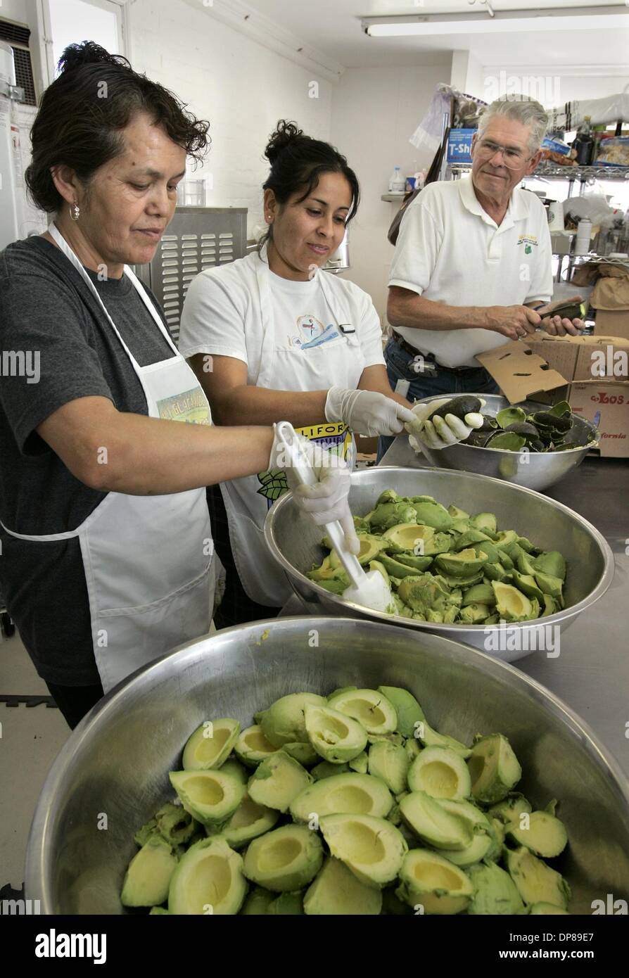 (published 4/13/2005, NI-6) Slicing up Fallbrook avocados for lots of ...