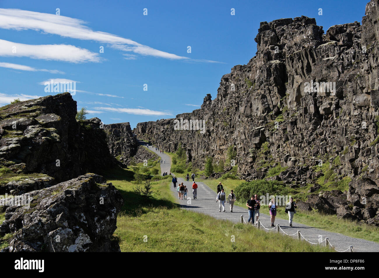 Almannagja rift at Thingvellir (Pingvellir), Iceland Stock Photo - Alamy