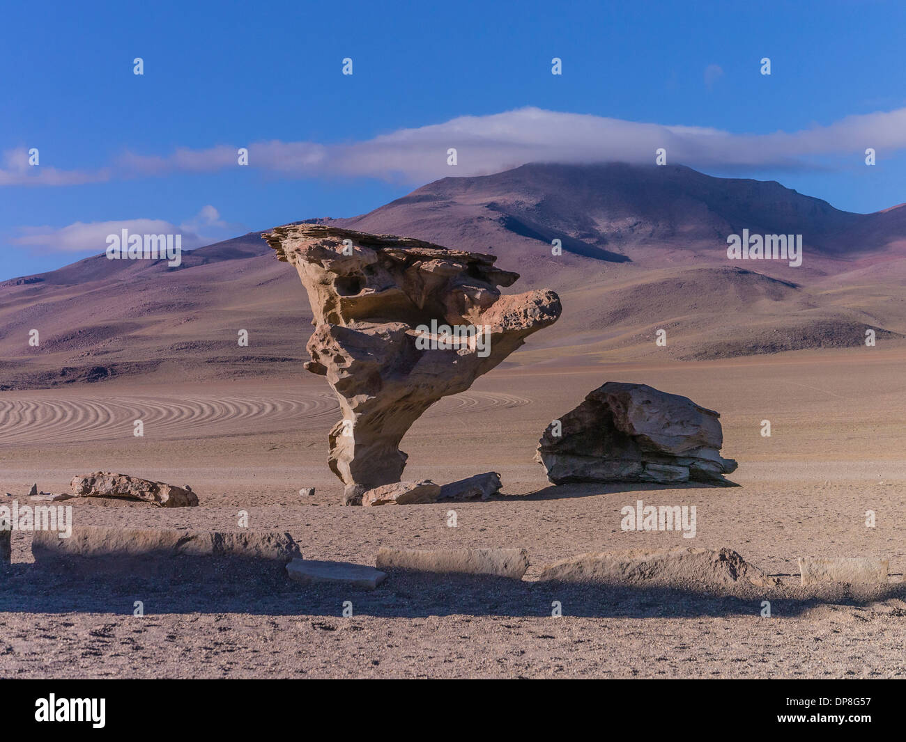 Stone tree as it is known, Árbol de Piedra in Spanish, is located in a ...