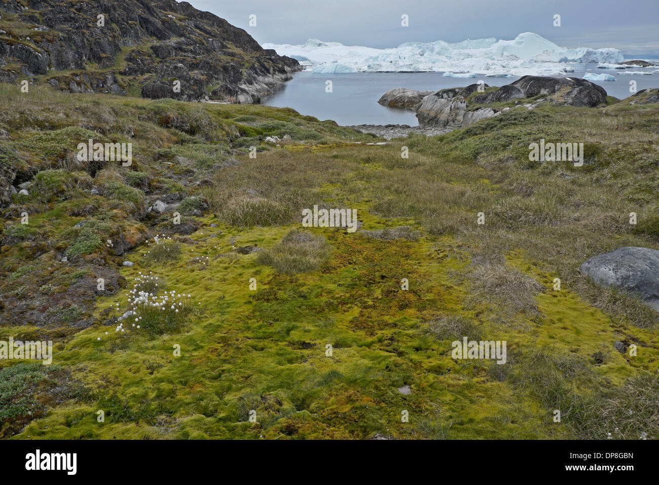 Sermeq kujalleq hi-res stock photography and images - Alamy