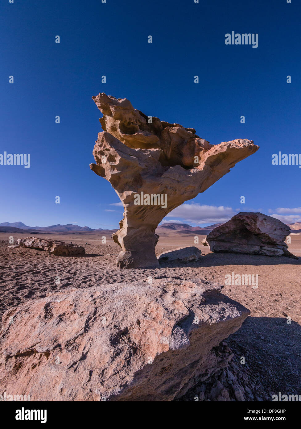 Arbol de chile hi-res stock photography and images - Alamy