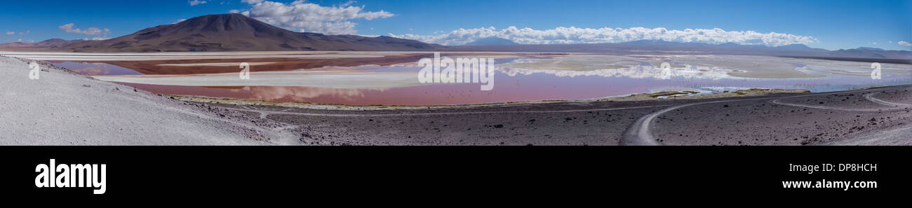 Panoramic view of Laguna Colorada (Red Lagoon), a salt water lagoon in ...