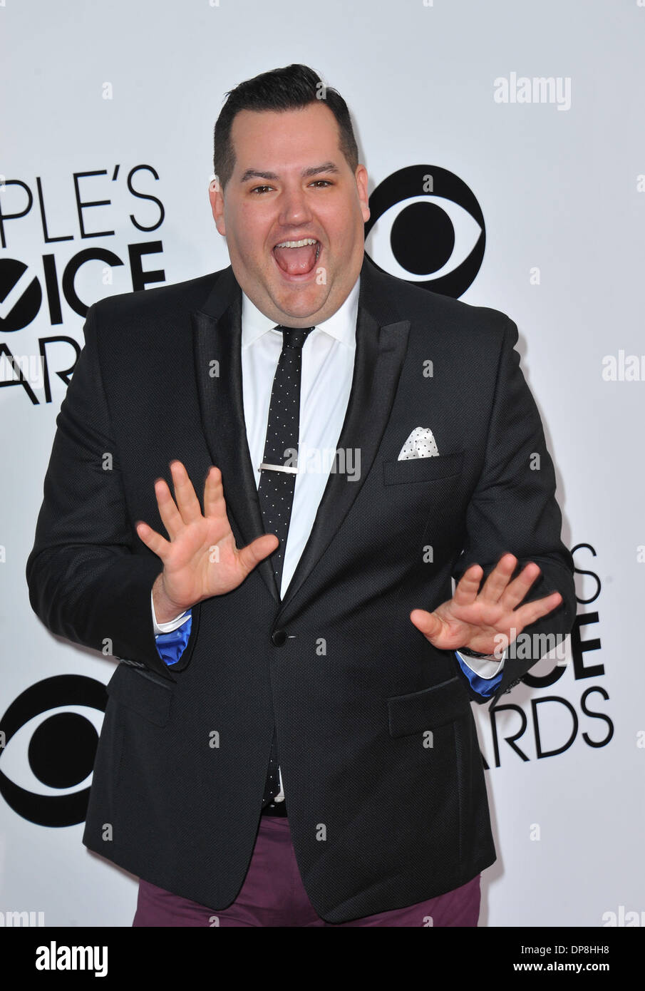 Los Angeles, California, USA. 8th Jan, 2014. Ross Matthews attending ...