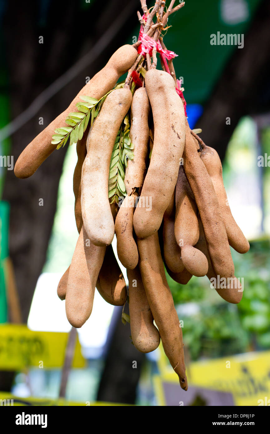 Wild tamarind hi-res stock photography and images - Alamy