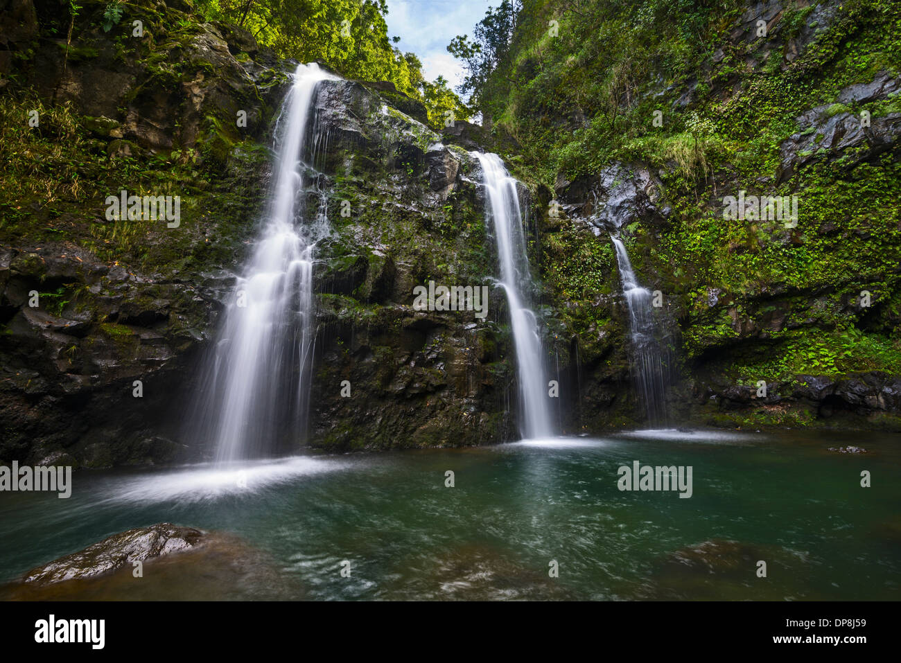 Three bears hi-res stock photography and images - Alamy