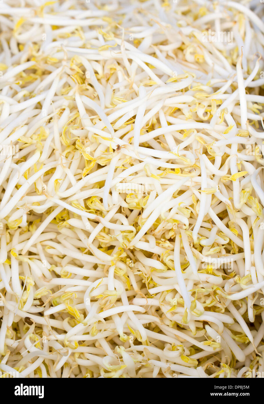 Yellow bean sprouts hi-res stock photography and images - Alamy