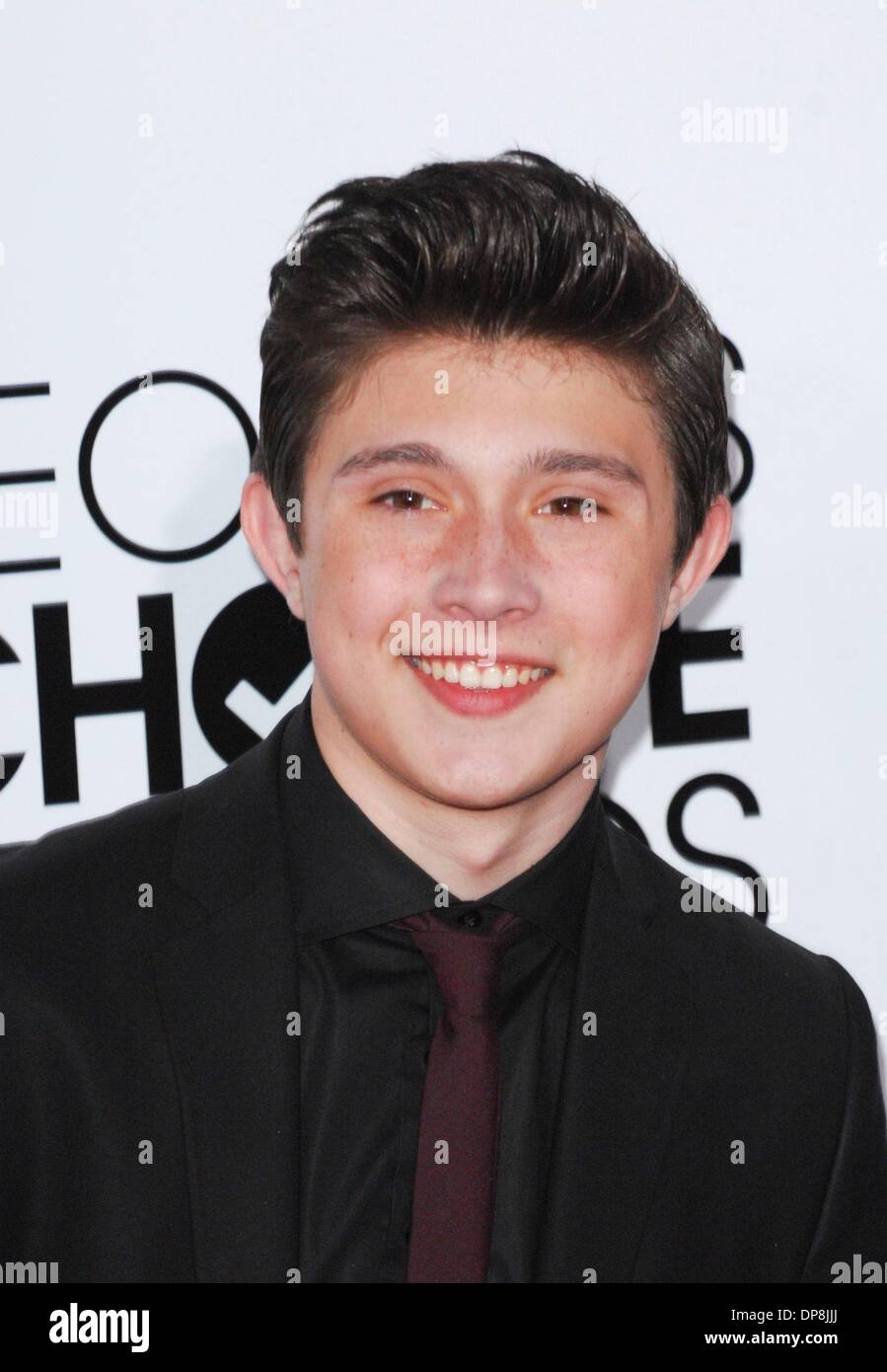 Los Angeles, CA, USA. 8th Jan, 2014. Mateus Ward at arrivals for 40th ...