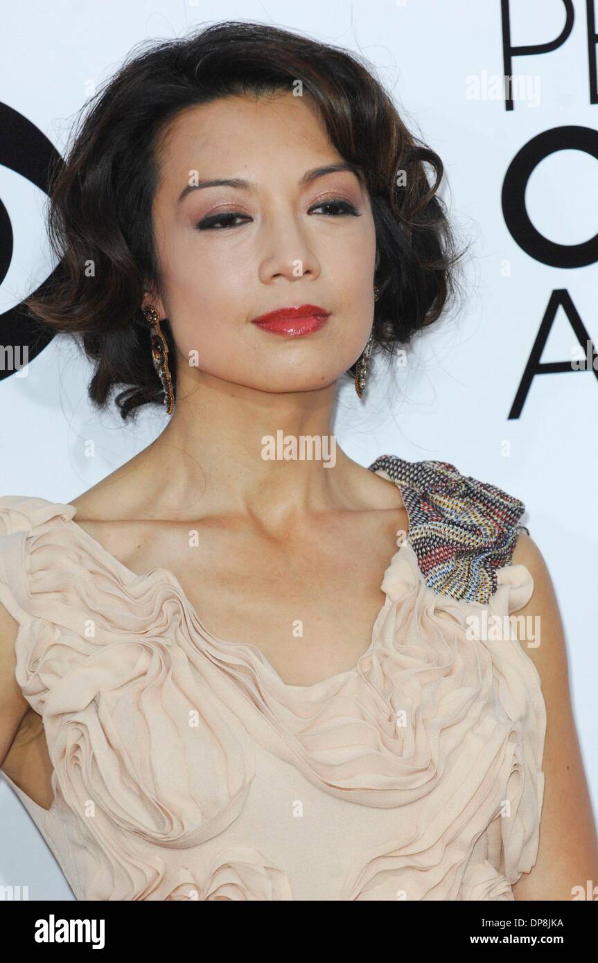 Los Angeles, CA, USA. 8th Jan, 2014. Ming-Na at arrivals for 40th ...