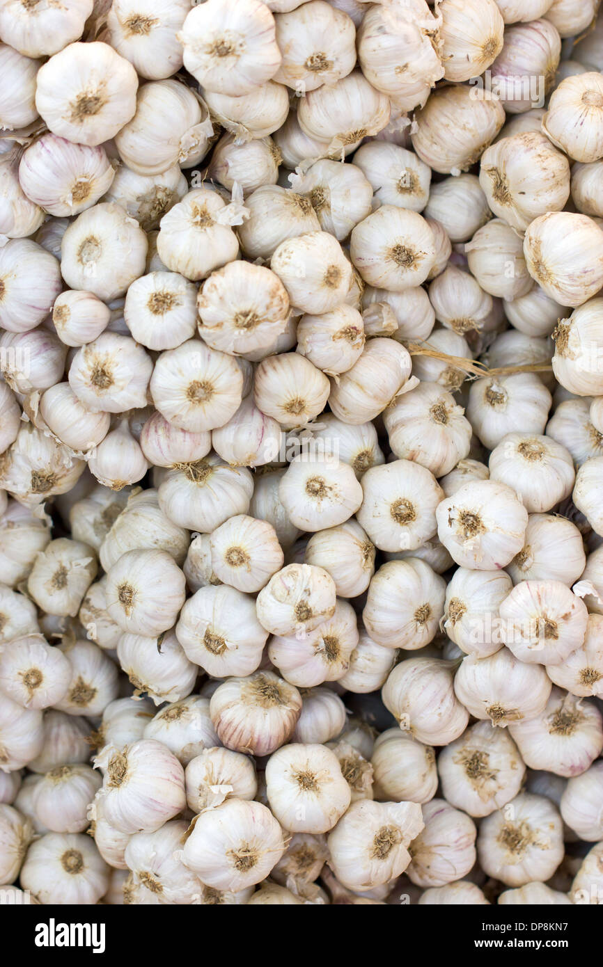 Garlic in market Stock Photo - Alamy