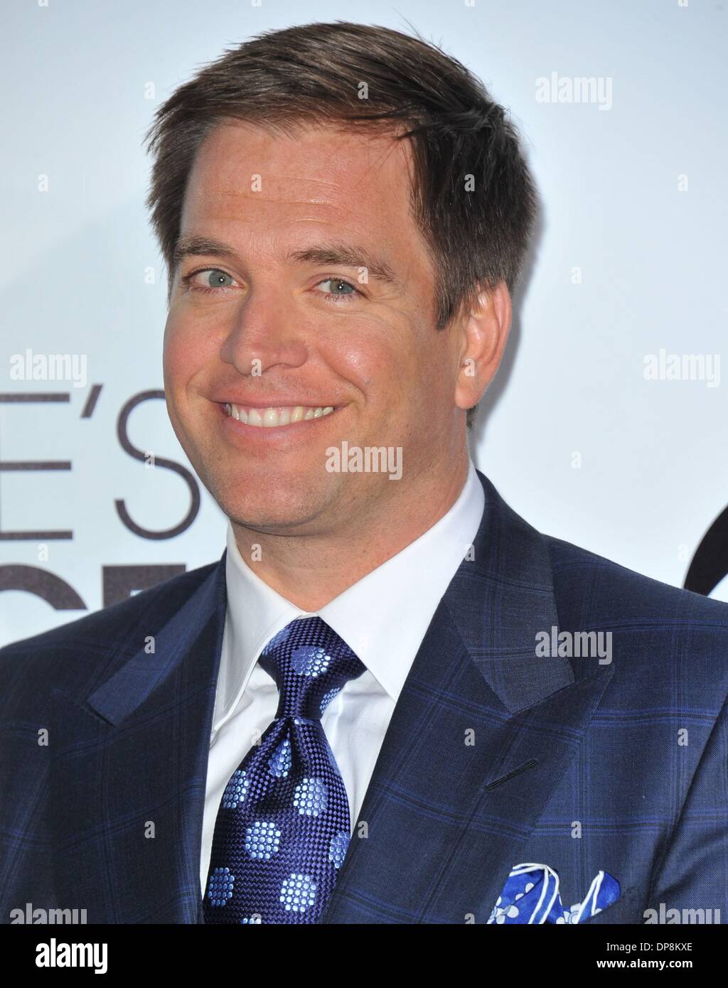 Los Angeles, CA, USA. 8th Jan, 2014. Michael Weatherly at arrivals for ...