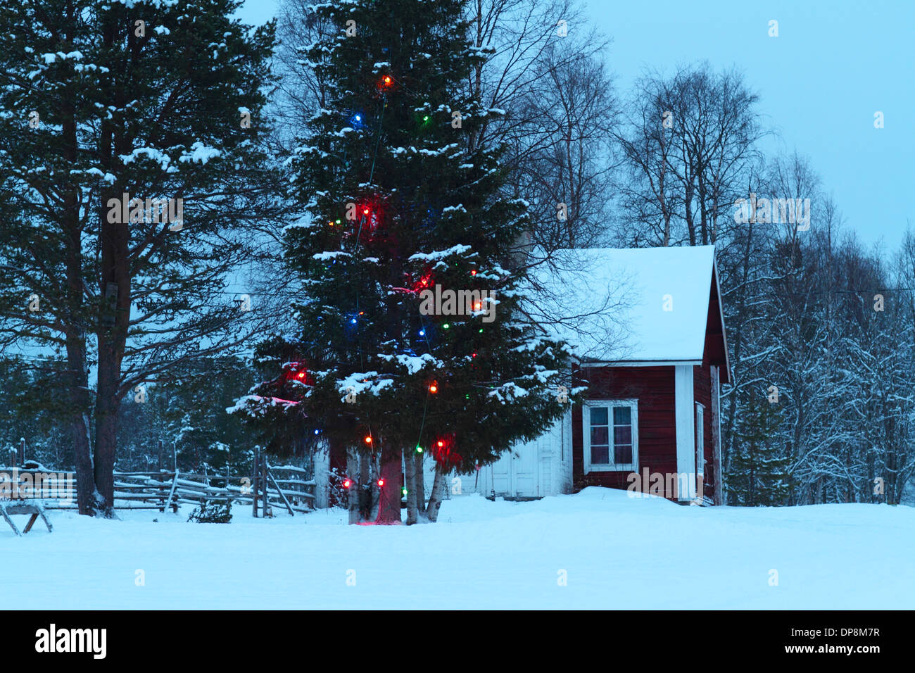 Christmas tree winter snow hi-res stock photography and images - Alamy