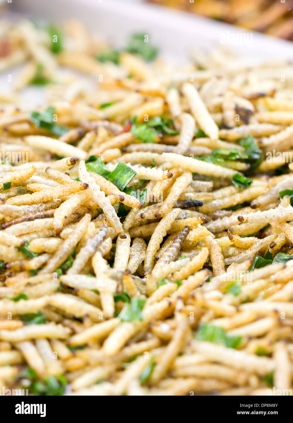 Deep fried caterpillars worms Stock Photo - Alamy