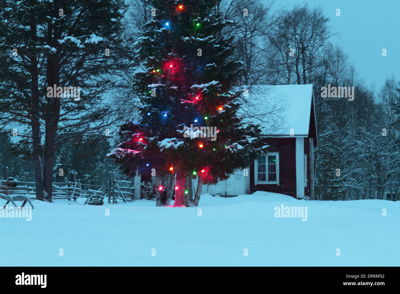 Christmas tree winter hi-res stock photography and images - Alamy