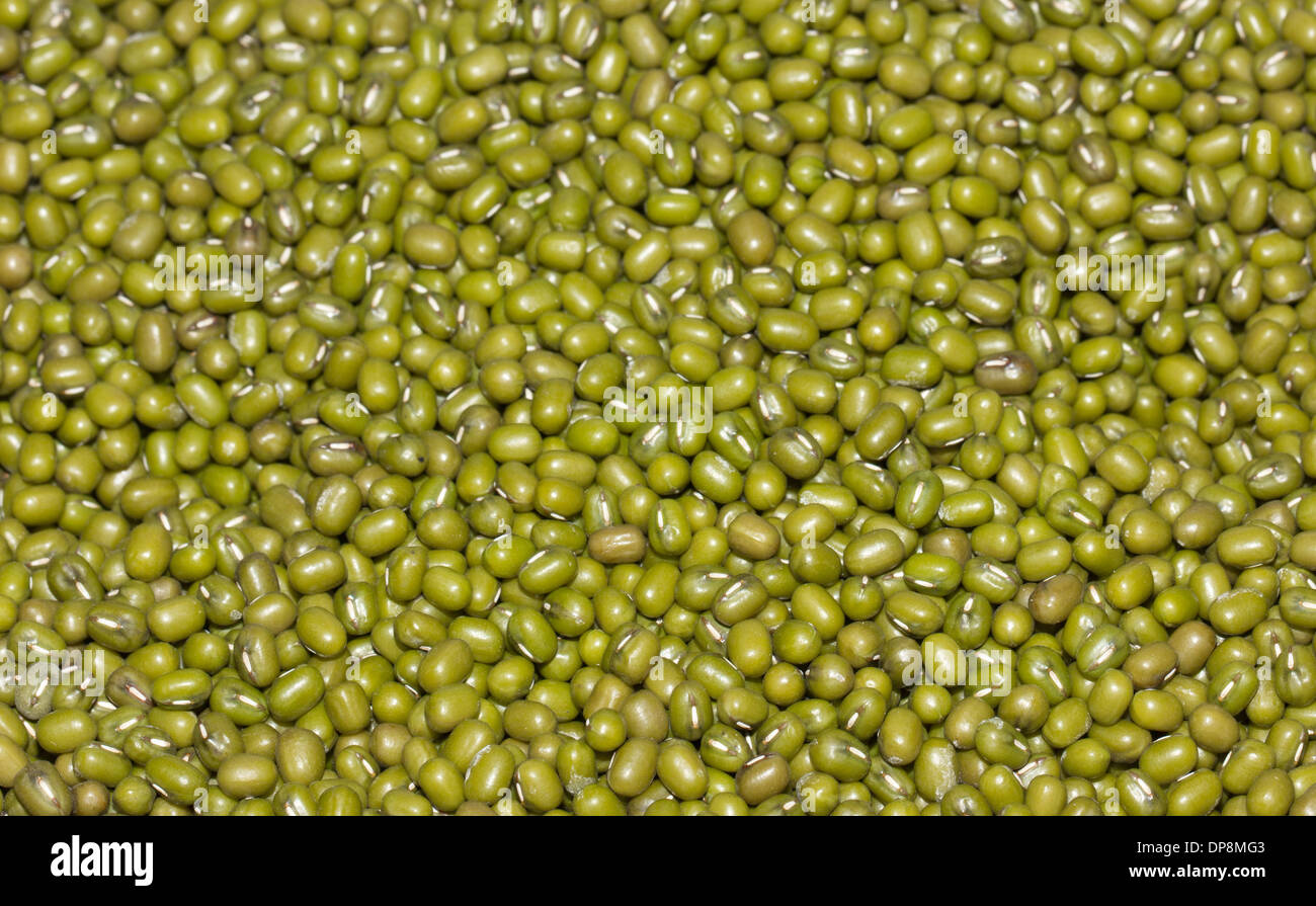Mung beans plant hi-res stock photography and images - Alamy