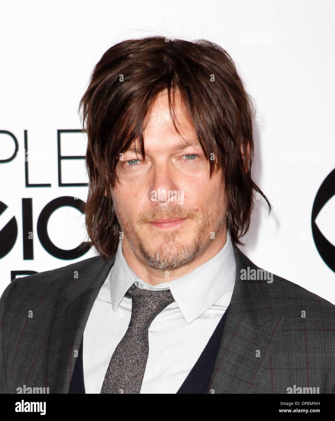 Los Angeles, CA, USA. 8th Jan, 2014. Norman Reedus at arrivals for 40th ...