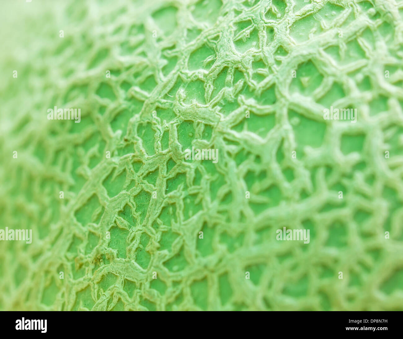 Japanese melon surface can be use as background Stock Photo - Alamy