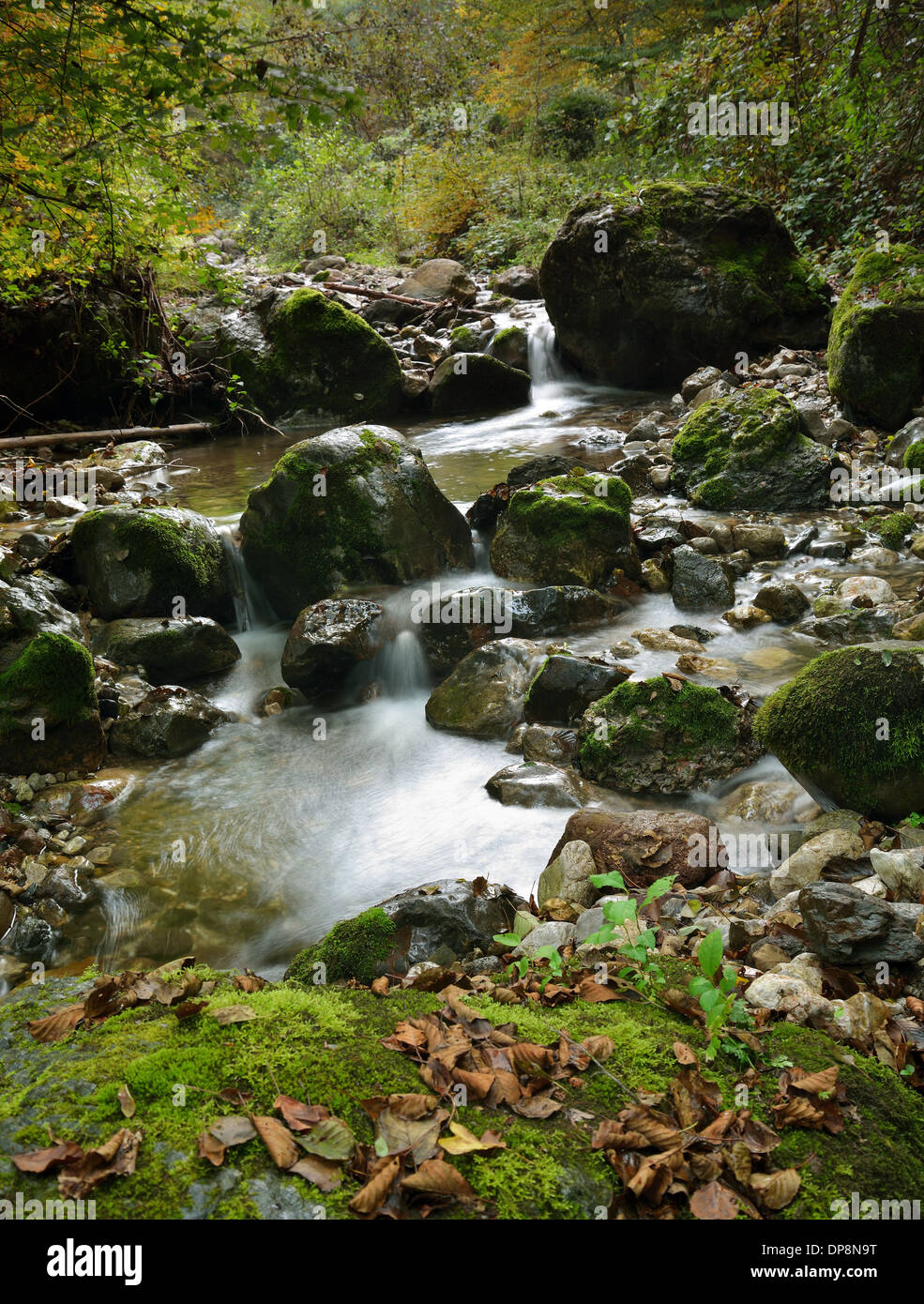 Earth between stones hi-res stock photography and images - Alamy