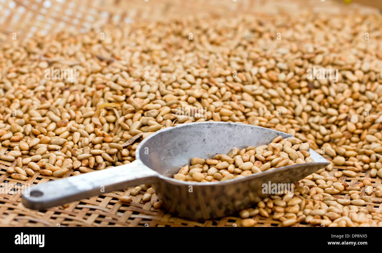 Fried Sunflower Seed With Metal Scoop In Bamboo Basket Stock Photo - Alamy