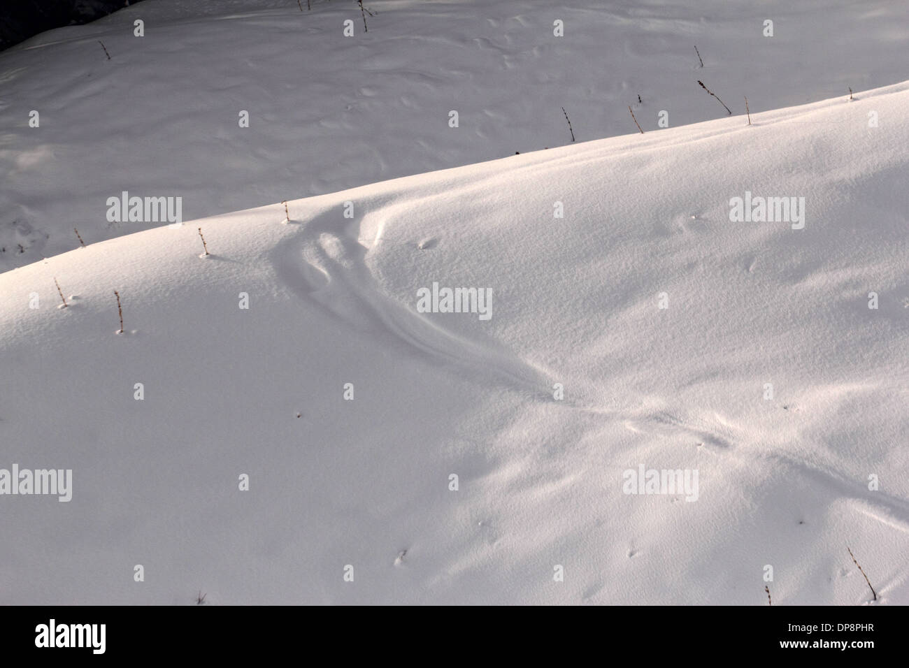 Line ski hi-res stock photography and images - Alamy