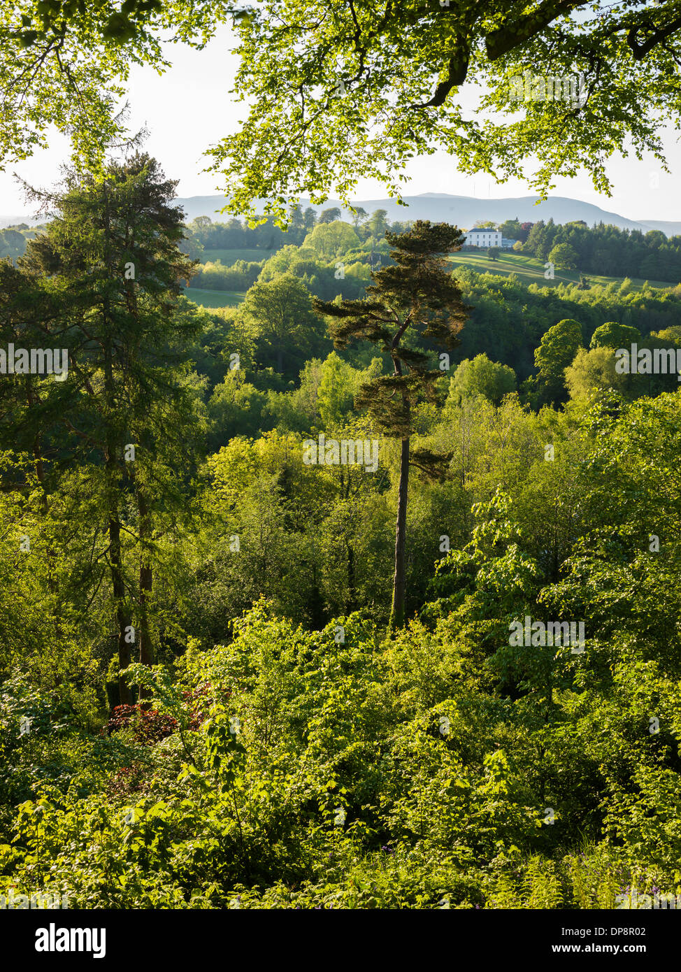 Malone house hi-res stock photography and images - Alamy