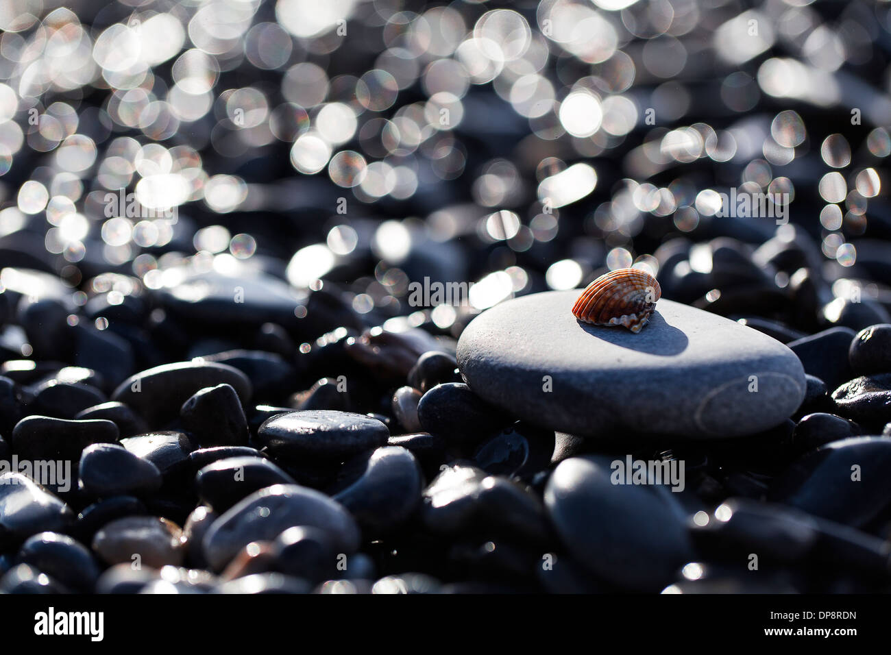 Sand Pebbles Sea Shells On Stock Photos & Sand Pebbles Sea Shells On ...