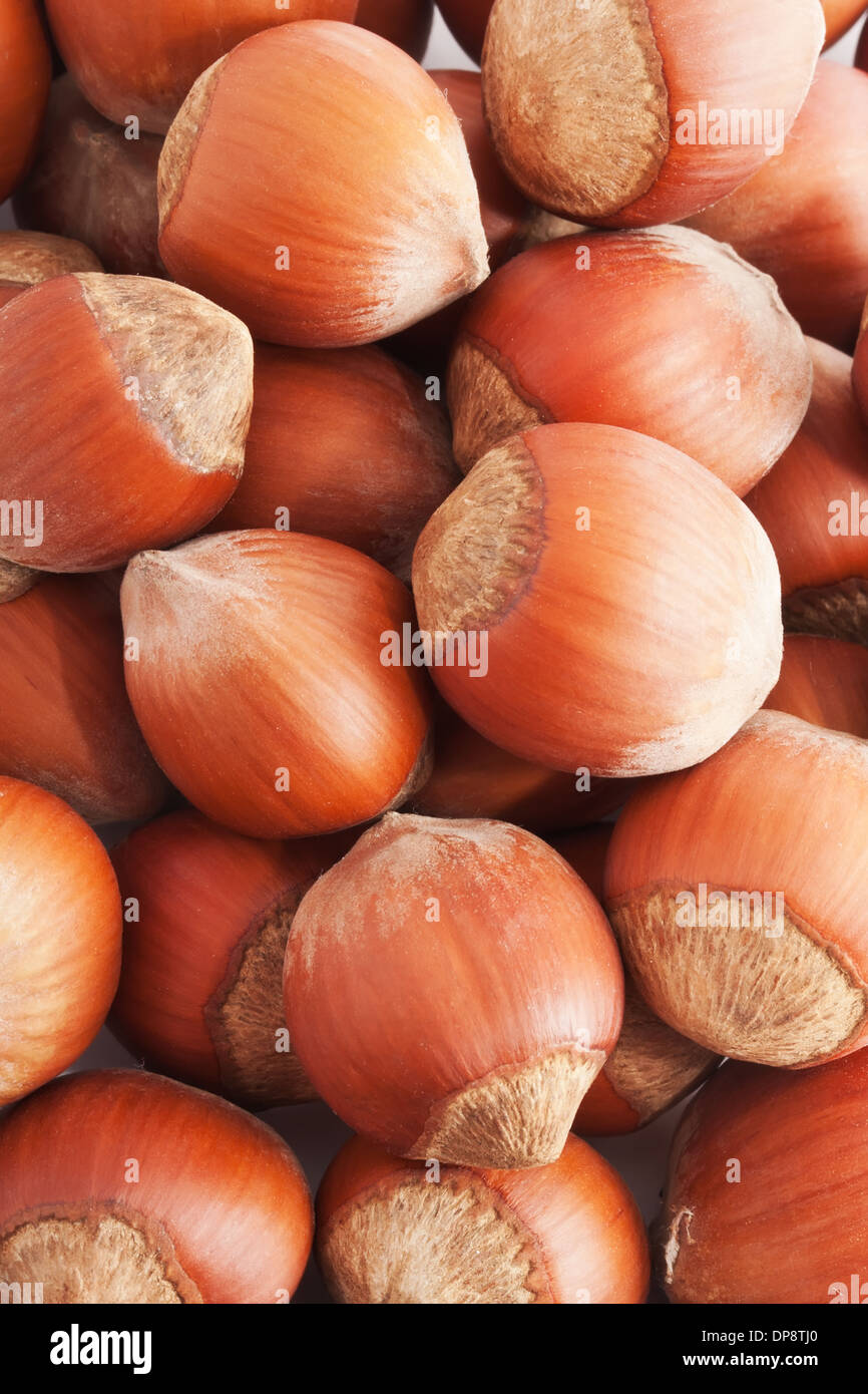 Hazelnuts or filbert Stock Photo - Alamy