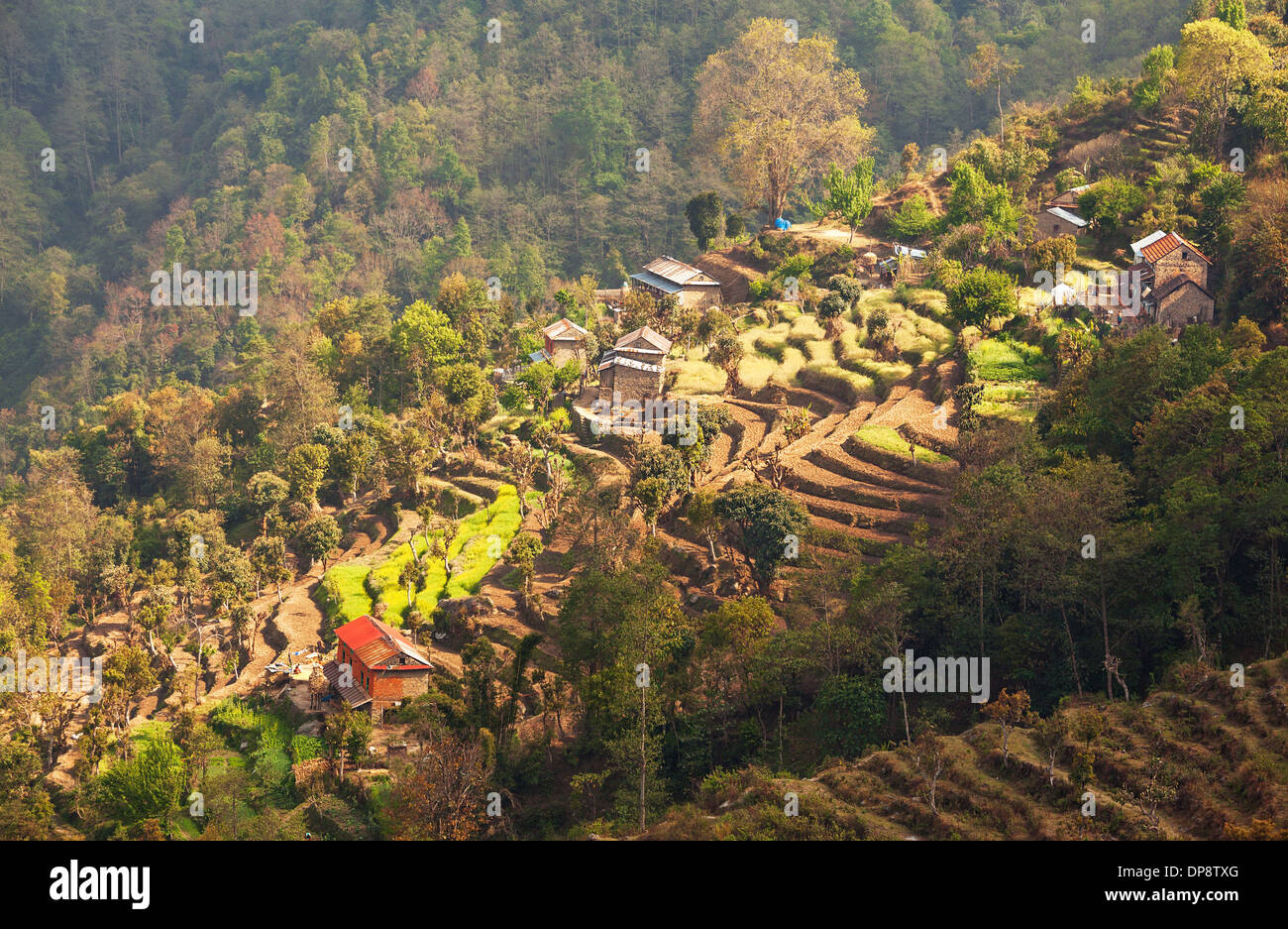 Agriculture in the highlands. Nepal Himalayas Stock Photo - Alamy