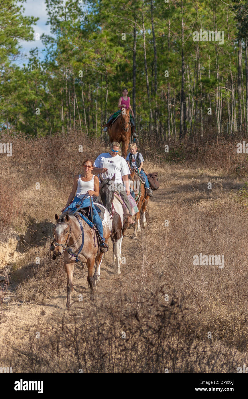 Marjorie harris carr hi-res stock photography and images - Alamy