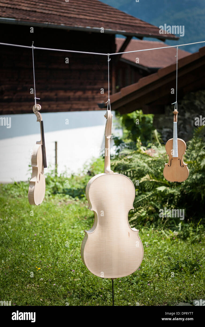 New stringed unfinished instruments air drying at the Brienz Violin ...