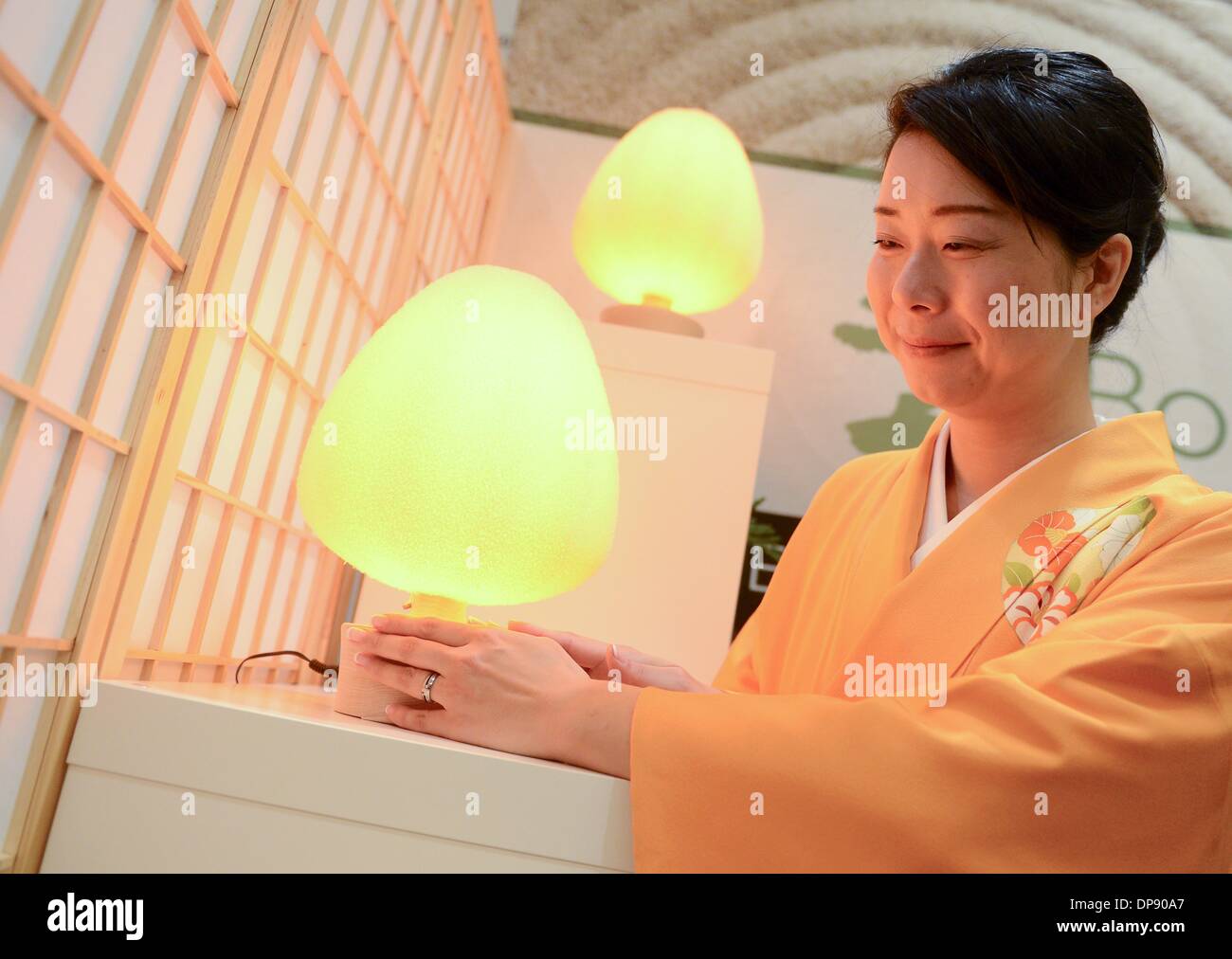 Las Vegas, USA. 07th Jan, 2014. Inventor Eri Takahashi displays her ...