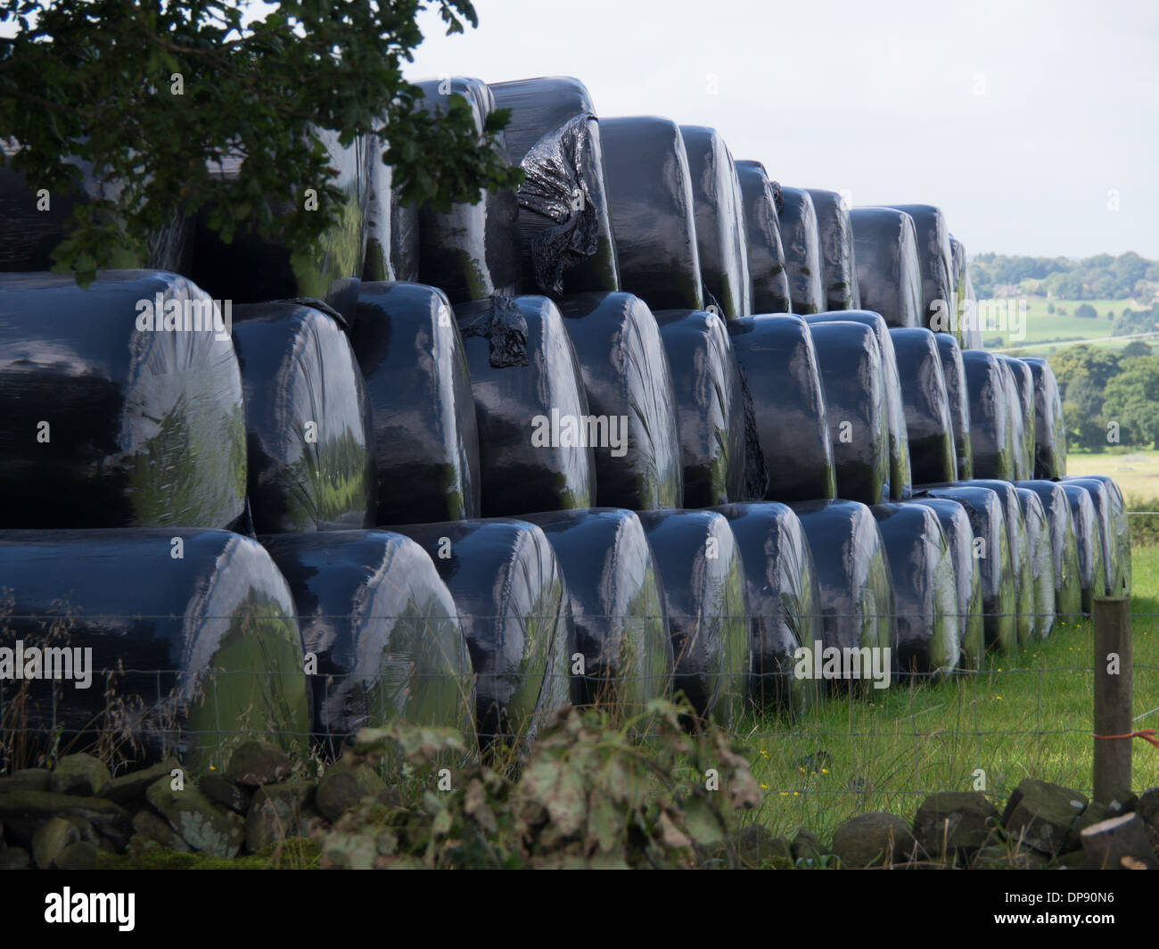 Black plastic covered hay bales, Derbyshire, UK Stock Photo - Alamy