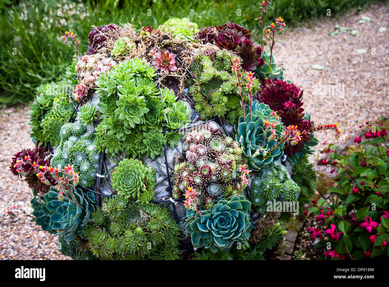Unusual planter hi-res stock photography and images - Alamy