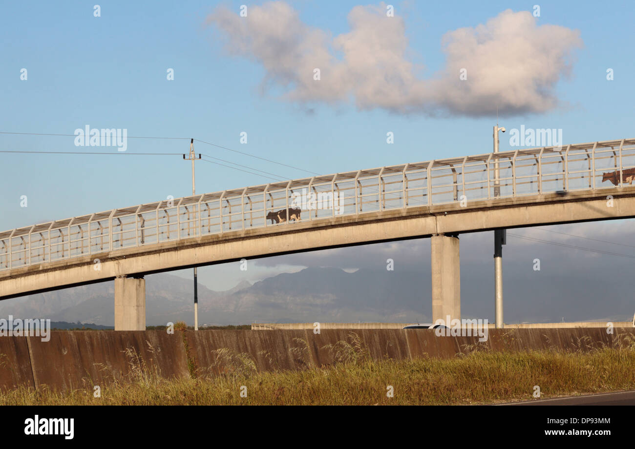 Pedestrian n2 cape town hi-res stock photography and images - Alamy